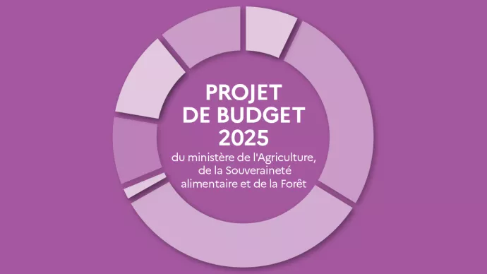 PLF-PLFSS 2025 : la ministre Annie Genevard obtient un budget destiné à tenir les engagements de ...